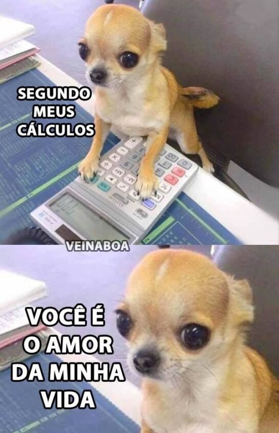 Segundo meu cálculos - Memes Engraçados