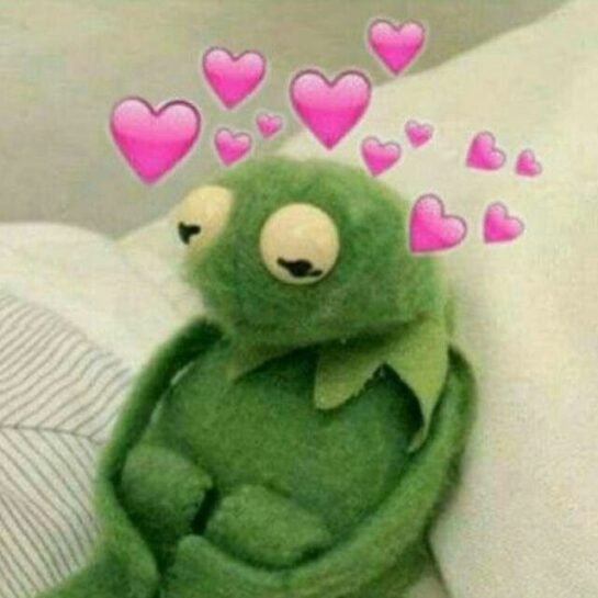 Todo meu amor e carinho - Memes Engraçados