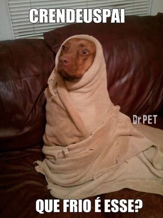 14 Memes de Frio Engraçados - Memes Engraçados
