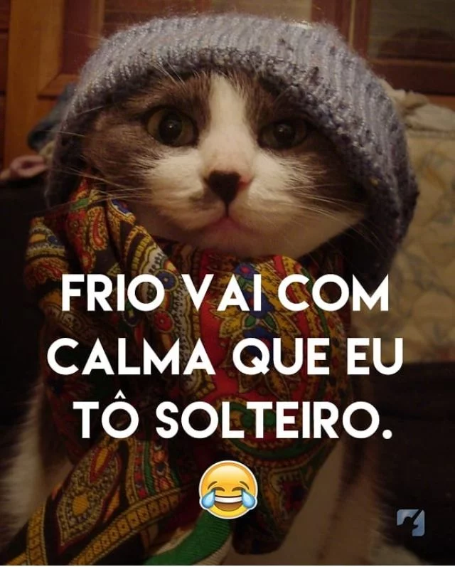 22 Memes de Frio para WhatsApp - Memes Engraçados