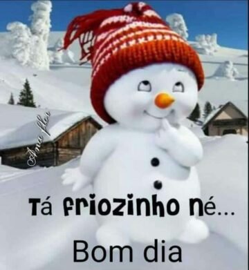 15 Fotos de memes de frio - Memes Engraçados