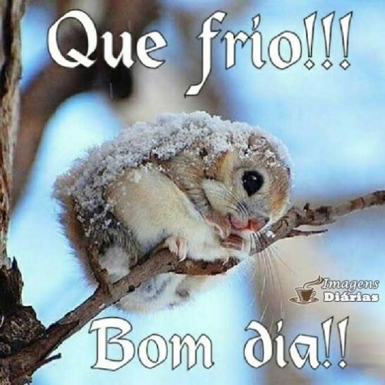 15 Fotos de memes de frio - Memes Engraçados