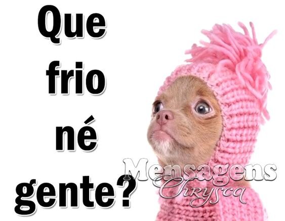 15 Fotos de memes de frio - Memes Engraçados