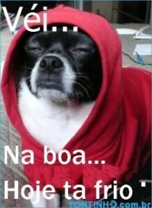 11 Memes de clima frio para compartilhar - Memes Engraçados