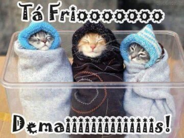 11 Memes de clima frio para compartilhar - Memes Engraçados