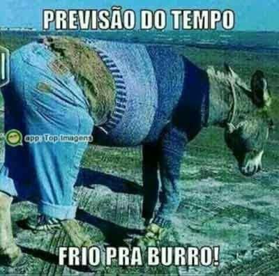 11 Memes de clima frio para compartilhar - Memes Engraçados