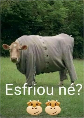 21 Memes de frio 2021 - Memes Engraçados